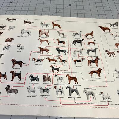 Genealogy of Dogs, Chart | EstateSales.org