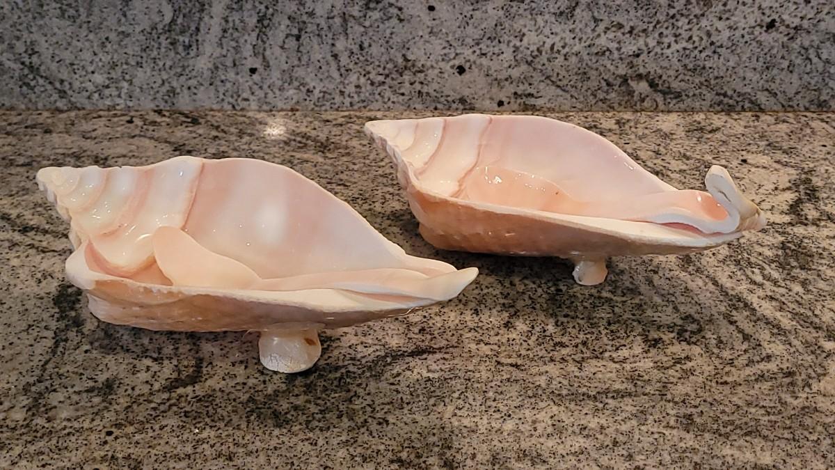 Lot 58: (2) Real Conch Sea Shell Serving Dishes with Shell Spoons ...