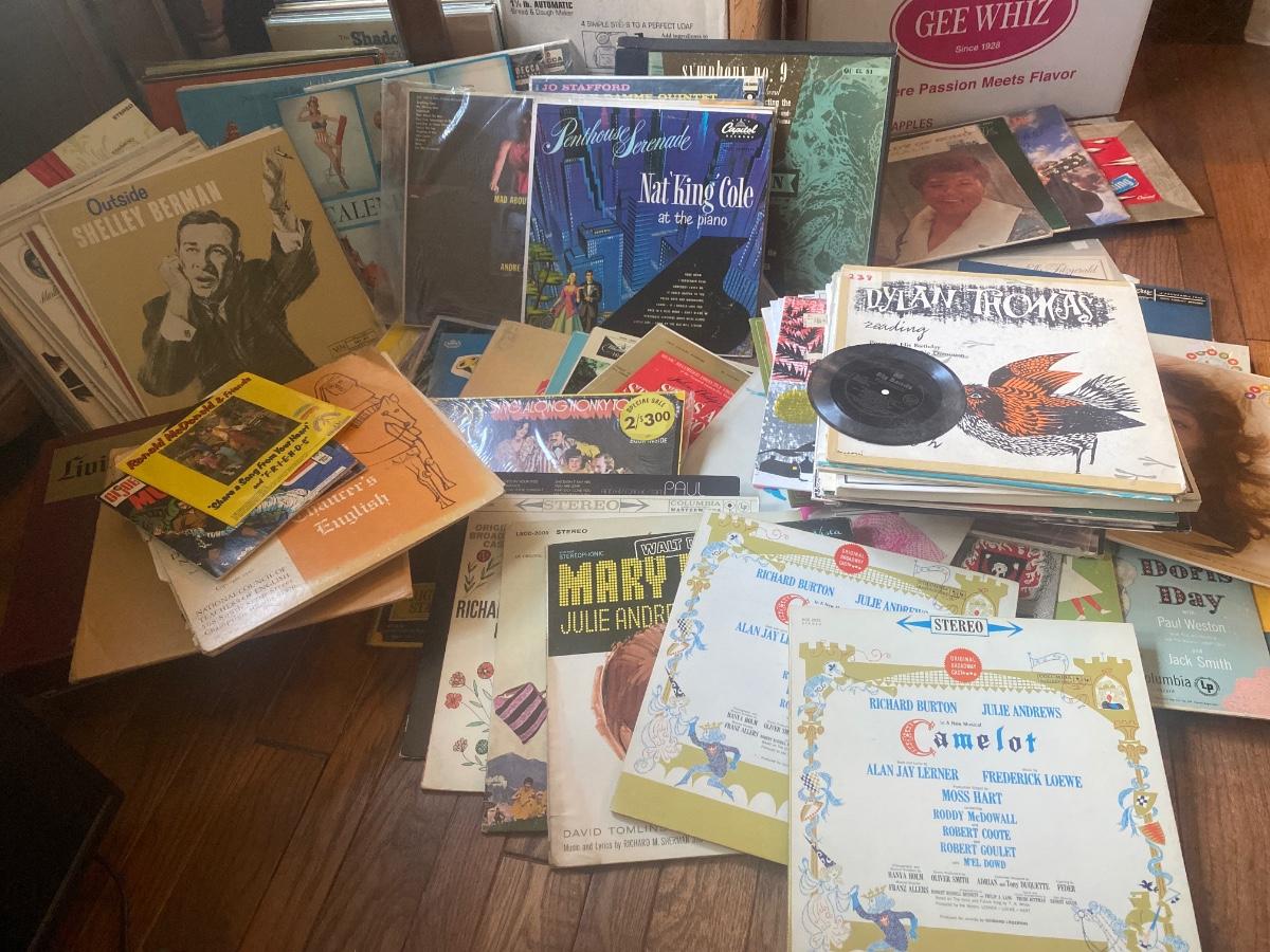 L8 Huge Record lot | EstateSales.org