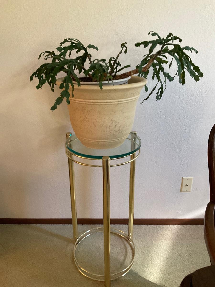 Brass and glass plant stand | EstateSales.org