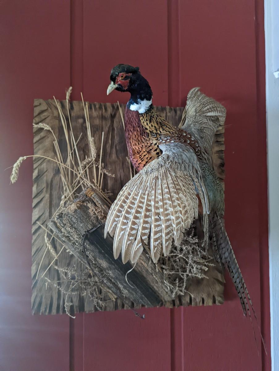 Pheasant Plaque | EstateSales.org