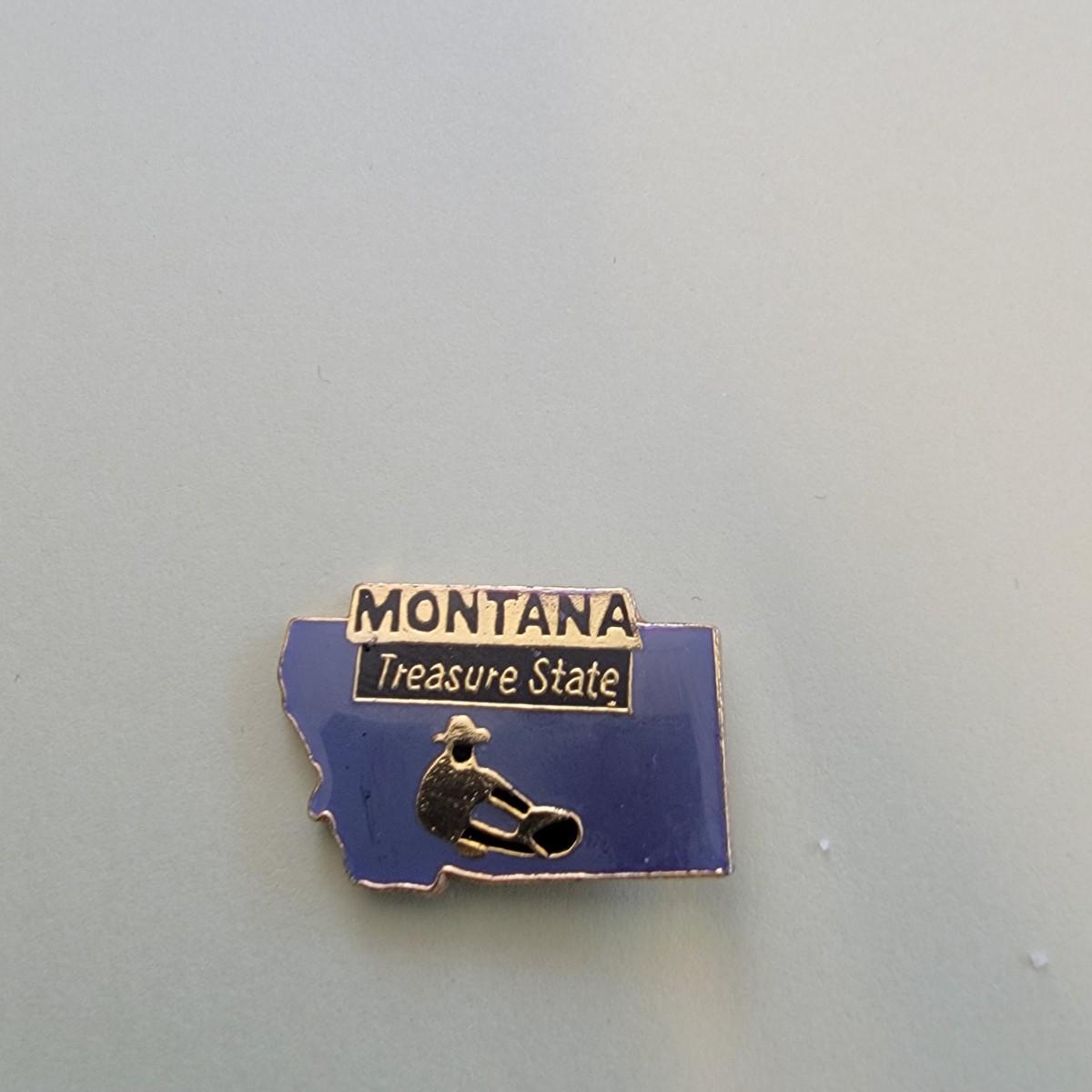 Montana Treasure State Pin | EstateSales.org
