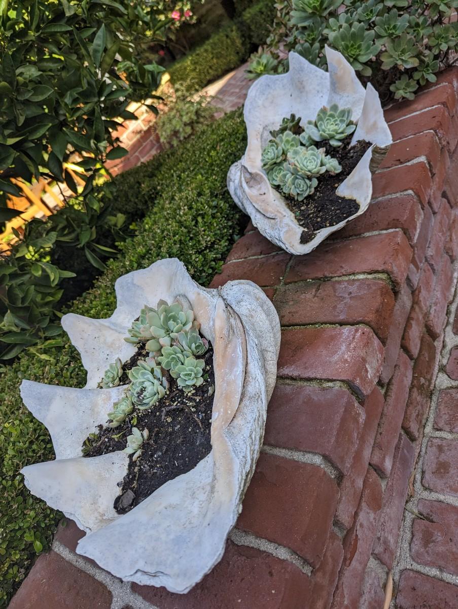 Shell Planters | EstateSales.org