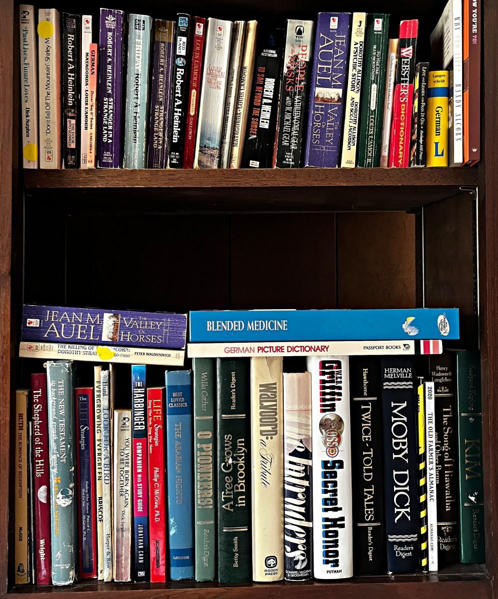 Set 1 of Random Books | EstateSales.org