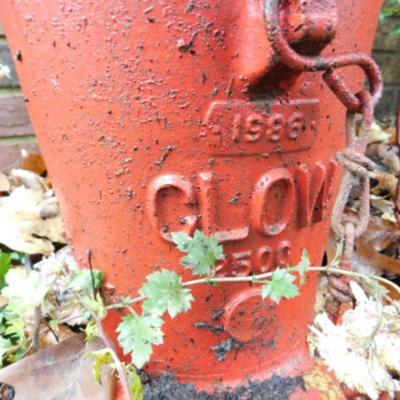 Vintage 1986 Clow Fire Hydrant with Original Valve Wrench | EstateSales.org