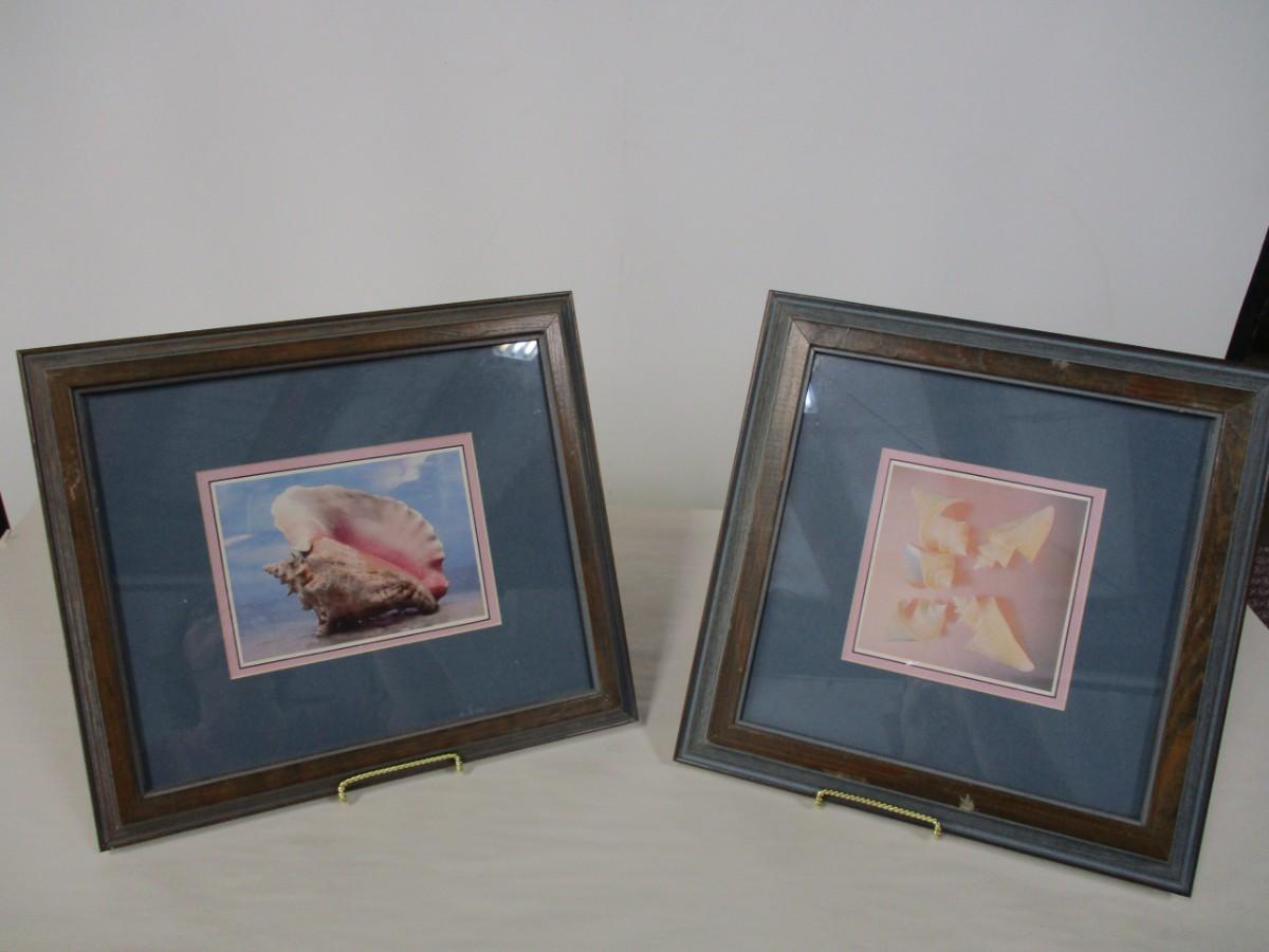 Framed Shell Pictures | EstateSales.org