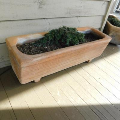 Clay Rectangular Planter with Live Plant Choice A | EstateSales.org