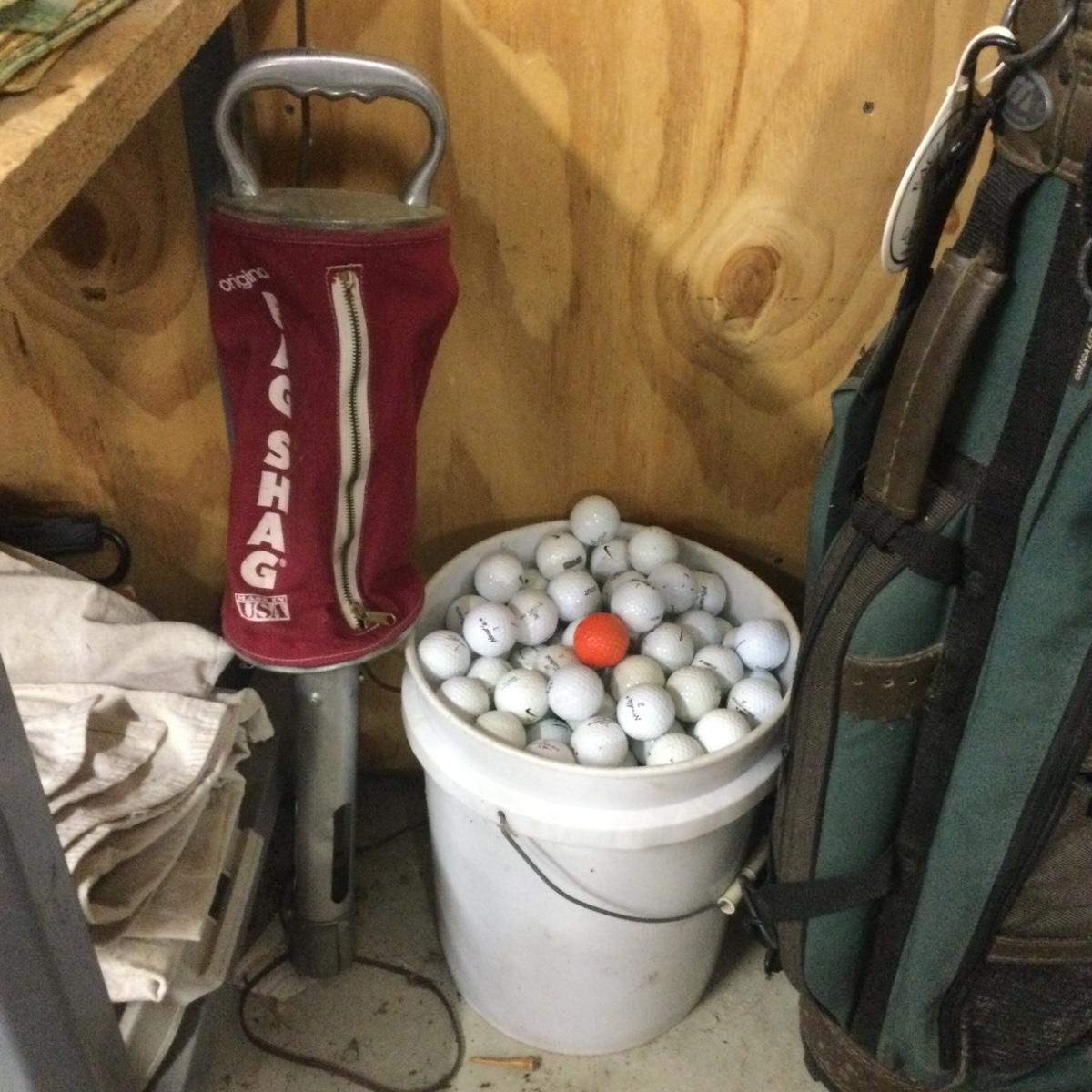 702 Bucket of Golf Balls With Bag Shag | EstateSales.org