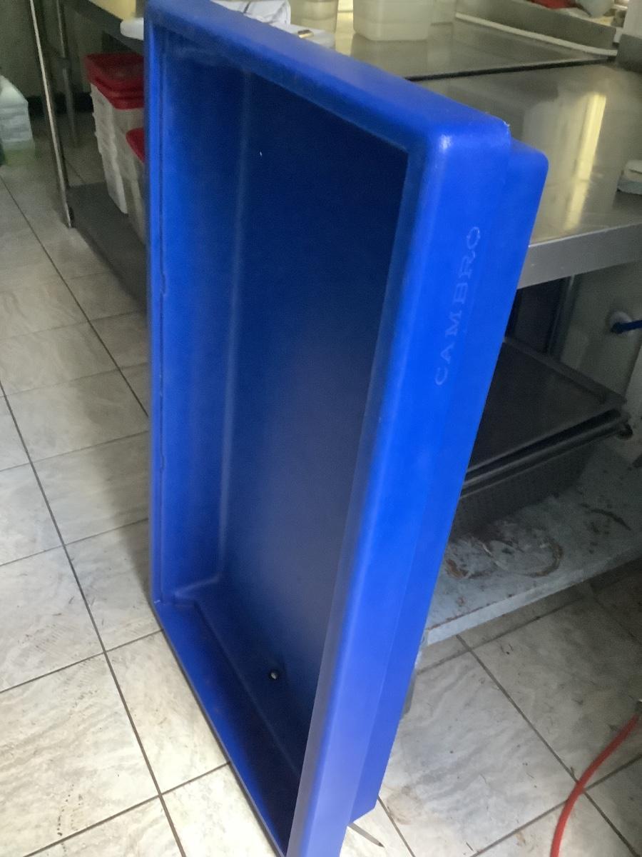 573 Cambro Ice Display | EstateSales.org