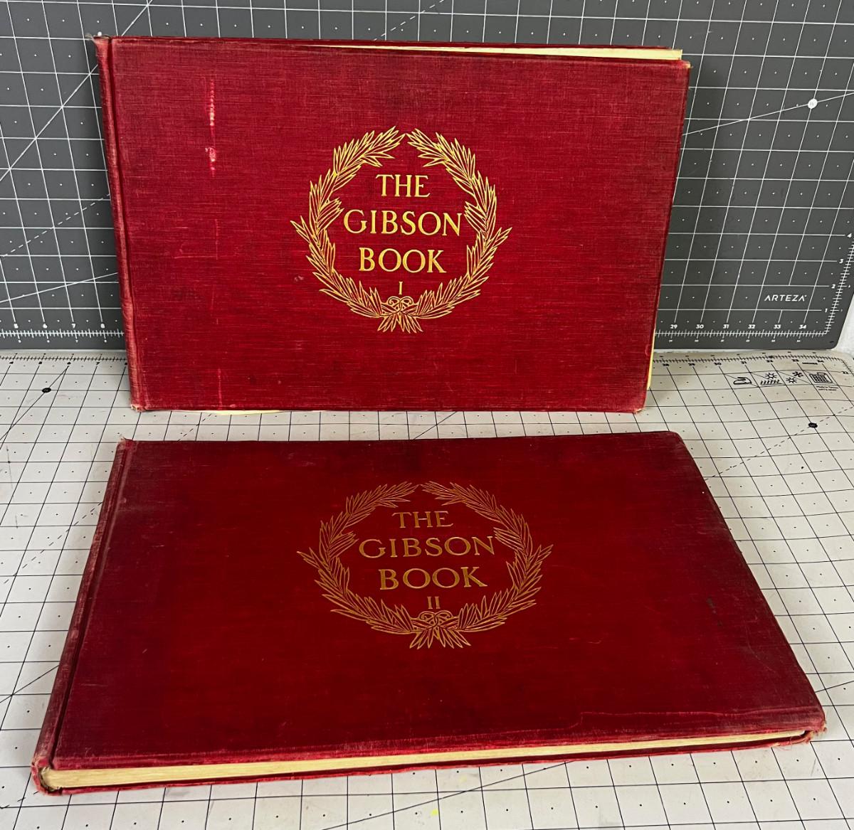 Gibson Girls Book Pair I And Ii