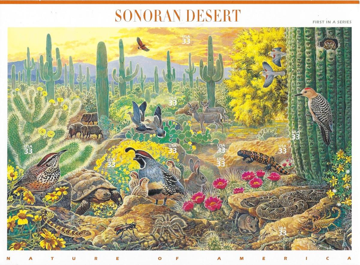 Sonoran Desert Stamp Set | EstateSales.org