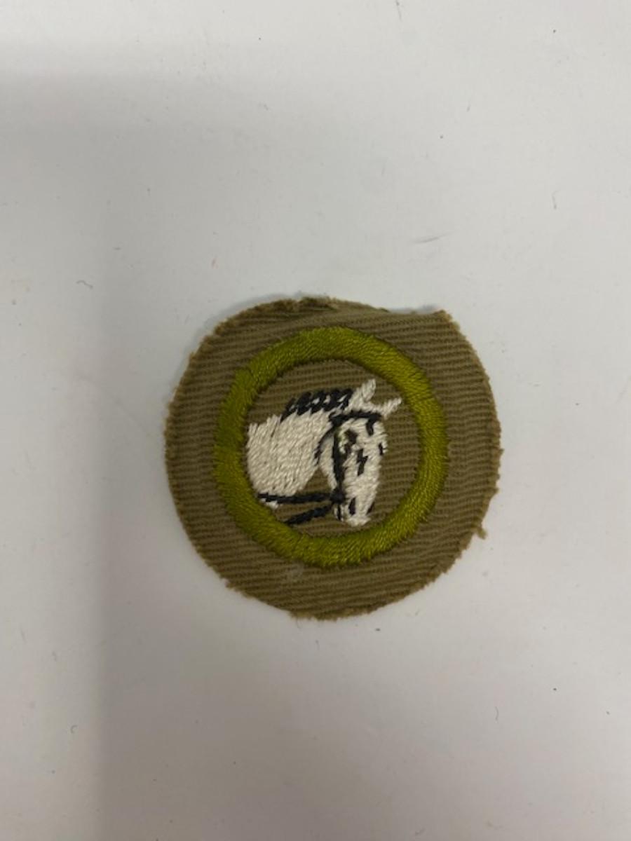 Animal Industry 1947-1960 E2 Type E Merit Badge BSA | EstateSales.org