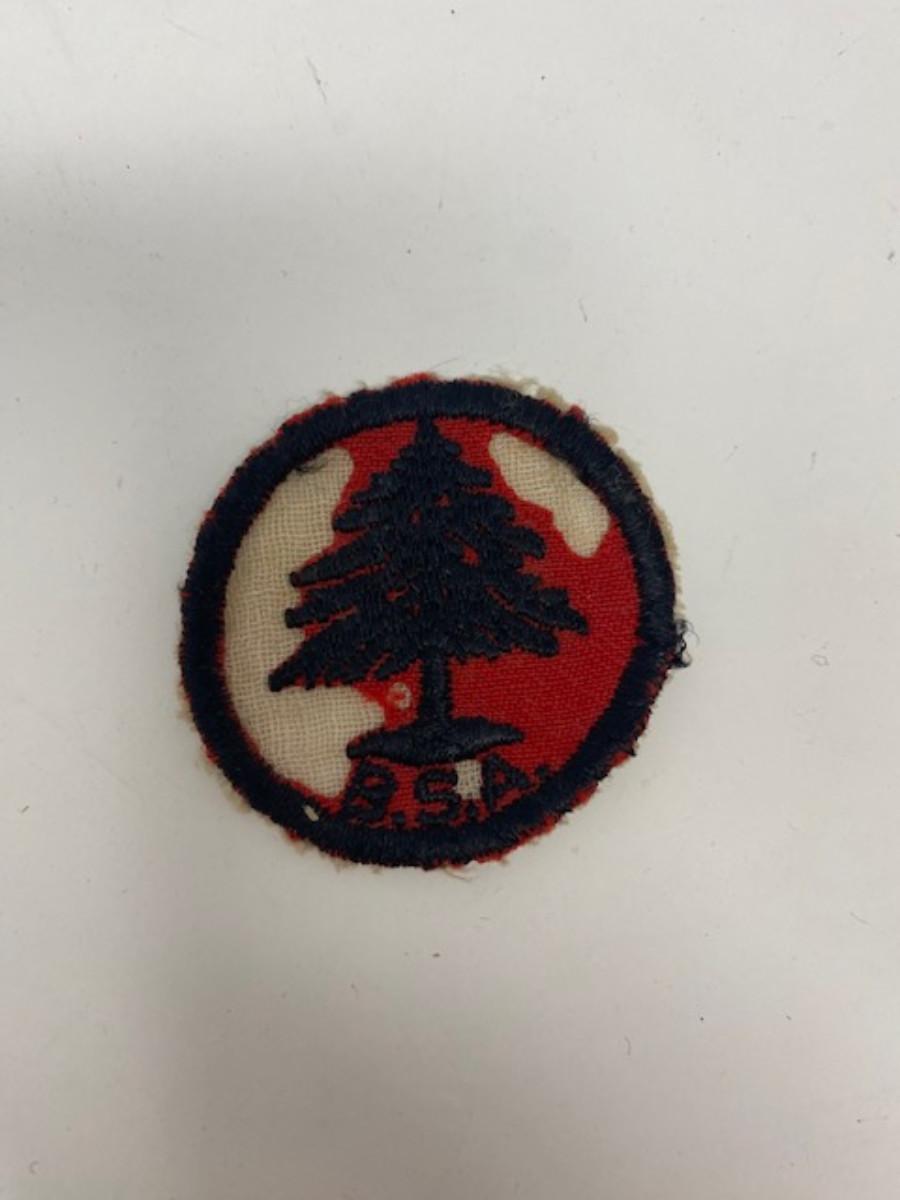 BSA Pine Tree Vintage Badge | EstateSales.org