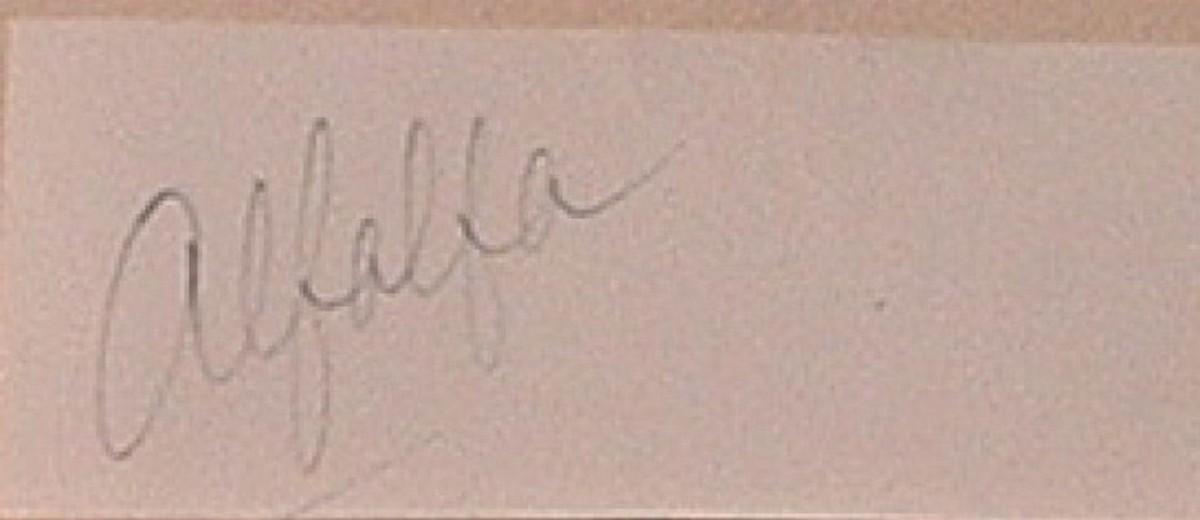Alfalfa "Our Gang" signature slip | EstateSales.org