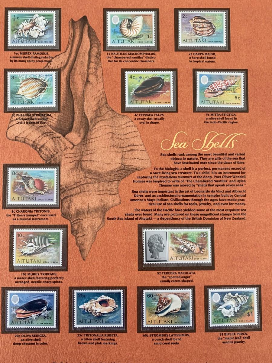 Sea Shells Stamp Set | EstateSales.org