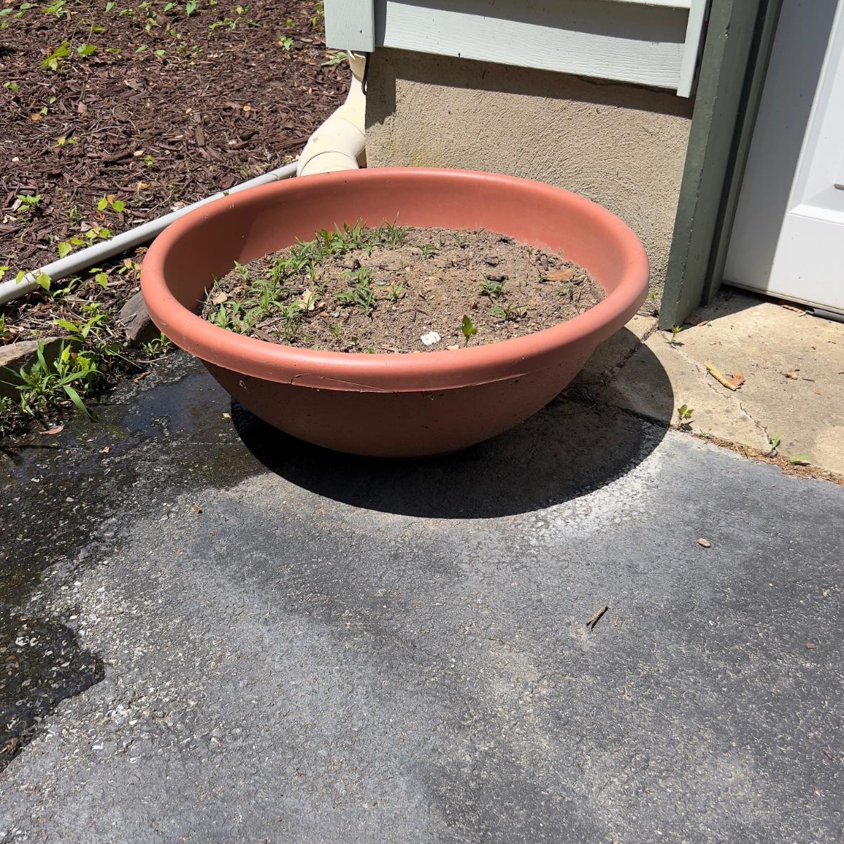 1263 Large Round Plastic Planter | EstateSales.org