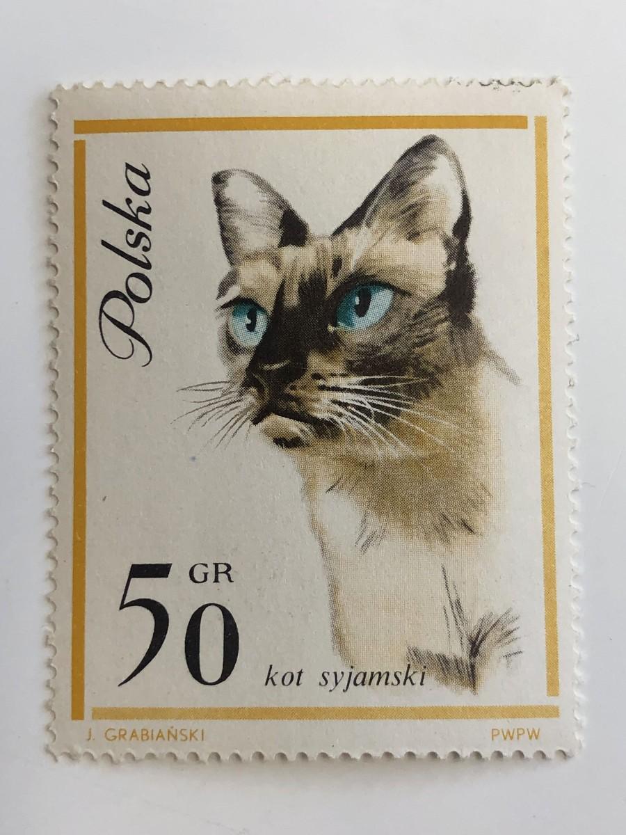 1964 Cat Stamp - Poland | EstateSales.org