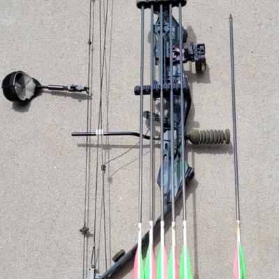 PSE Mach 4 Compound Bow, Cobra Wrist Brace and Gold Tip Graphite Hunter ...