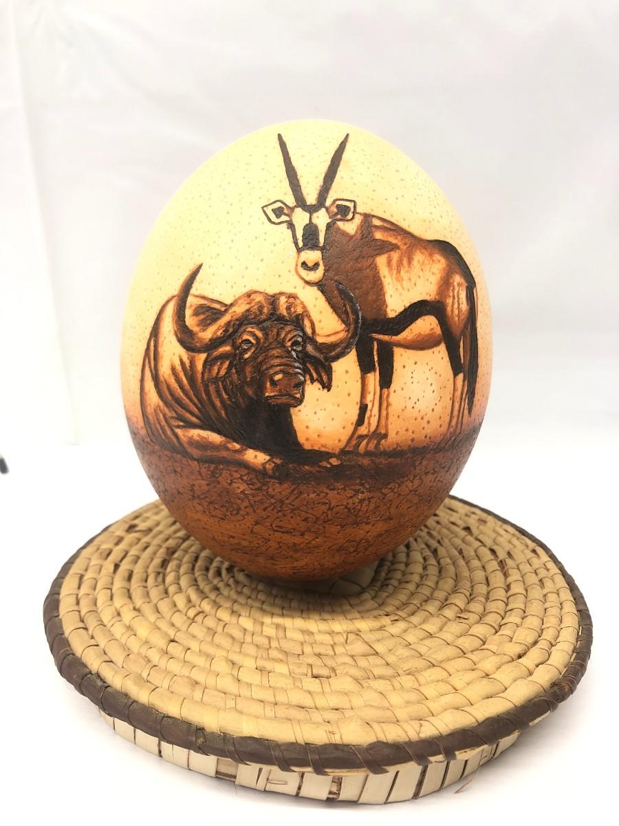 South African Scrimshaw Etched Ostrich Egg | EstateSales.org