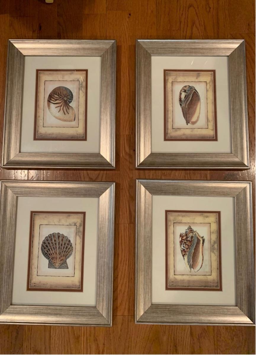Four Cute Shell Prints Framed | EstateSales.org