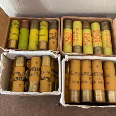 Reloaded Shot gun shells | EstateSales.org