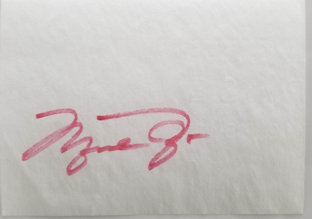 Michael Jordan signature cut. GFA Authenticated | EstateSales.org