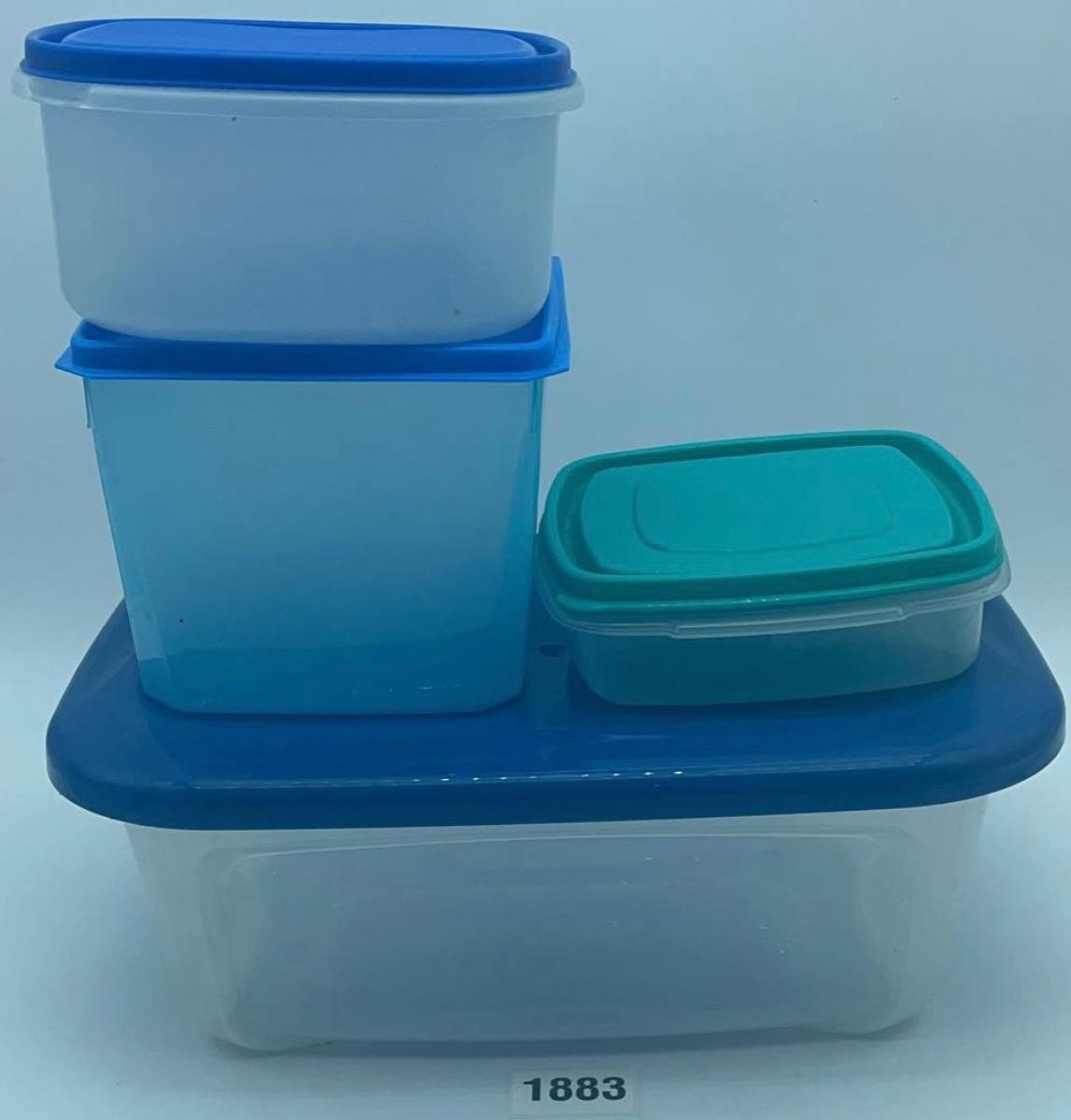 Blue Lid Storage Containers | EstateSales.org