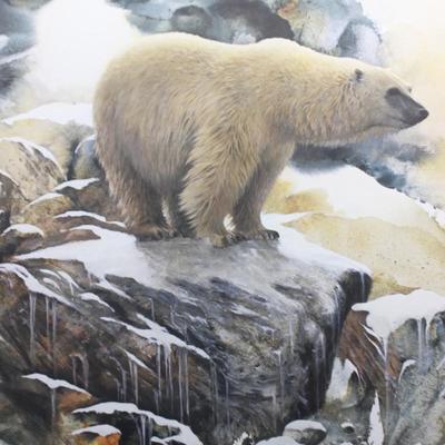 Morten Solberg Polar Bear on a Rock Numbered Signed Framed Art Print ...