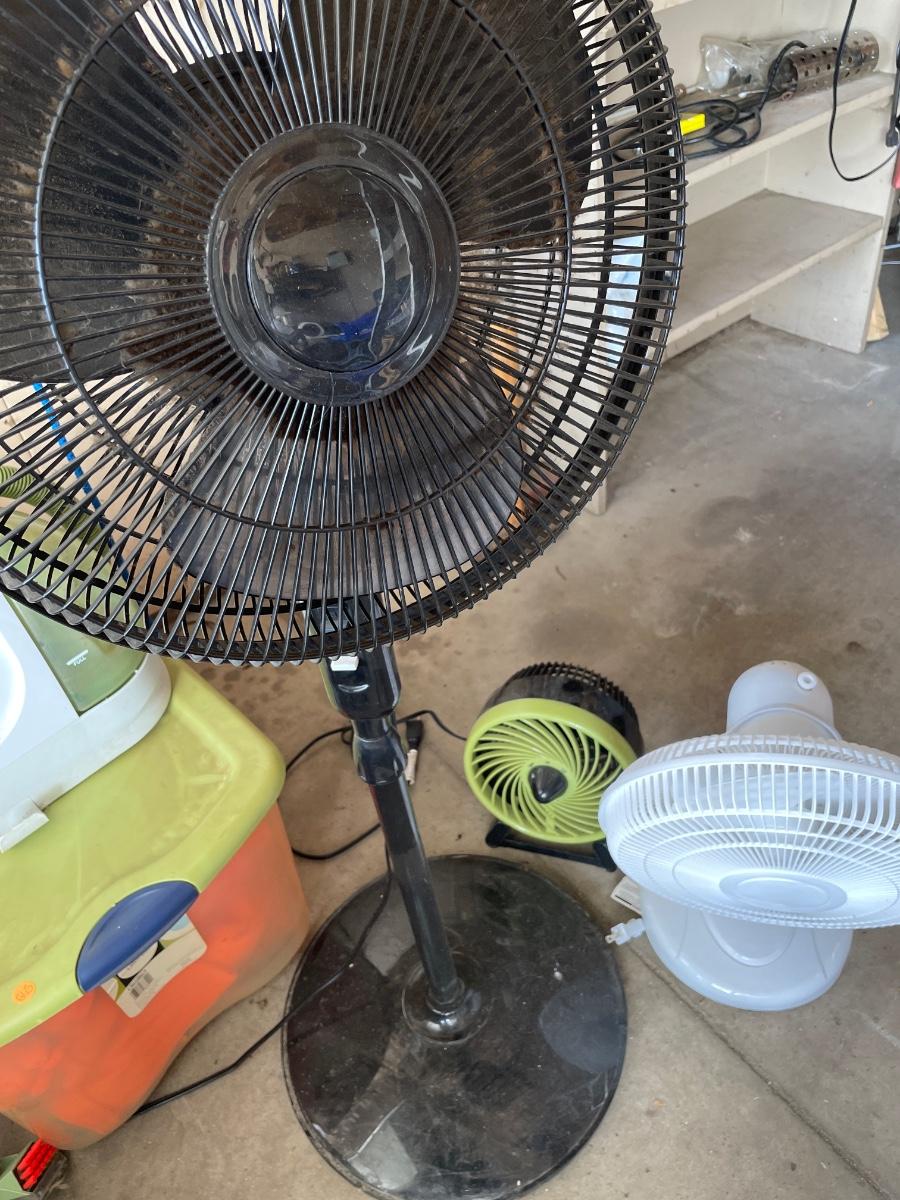 Fans lot | EstateSales.org