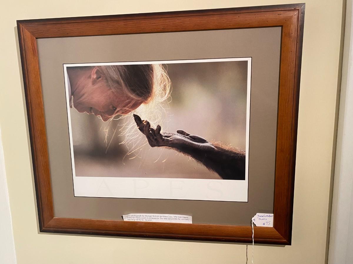 Jane Goodall Art | EstateSales.org