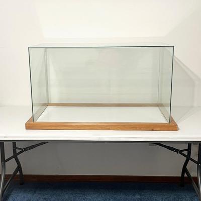 Large Glass Display Box With Wood Base | EstateSales.org