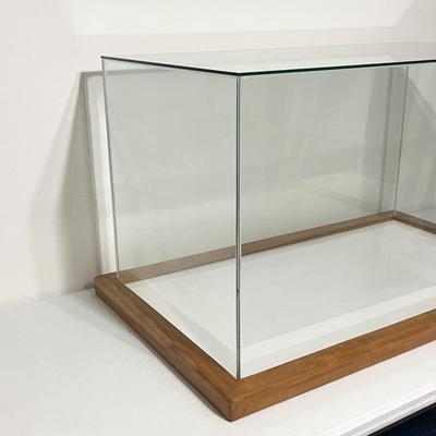 Large Glass Display Box With Wood Base | EstateSales.org
