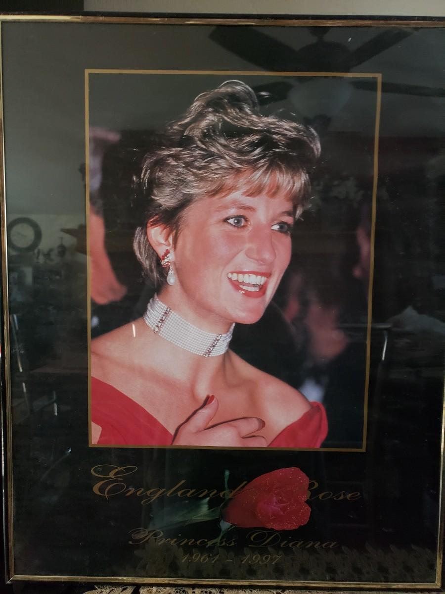 Memorial Tribute Picture of Princess Diane | EstateSales.org
