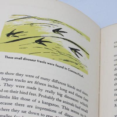 All About Dinosaurs Roy Chapman Andrews Fifth Printing 1953 Vintage ...