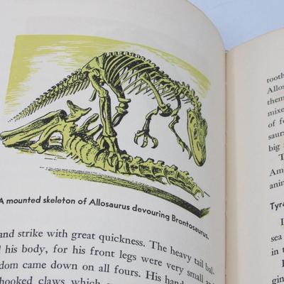 All About Dinosaurs Roy Chapman Andrews Fifth Printing 1953 Vintage ...