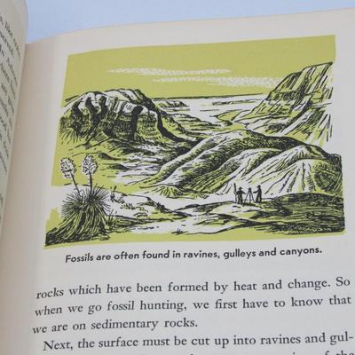 All About Dinosaurs Roy Chapman Andrews Fifth Printing 1953 Vintage ...