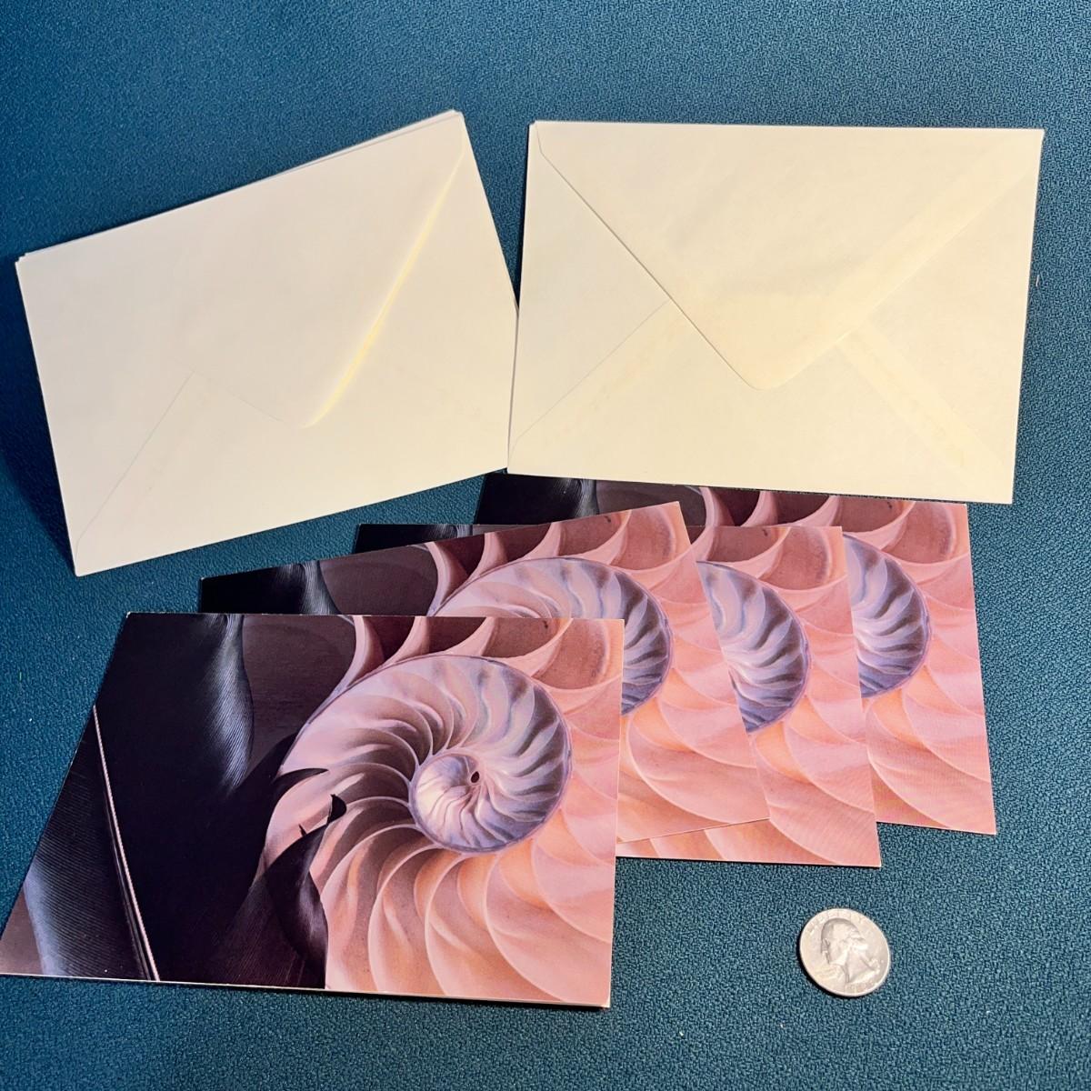 SET OF 4 BLANK NOTE CARDS "HALF SHELL" PICTURE, WITH ENVELOPES ...
