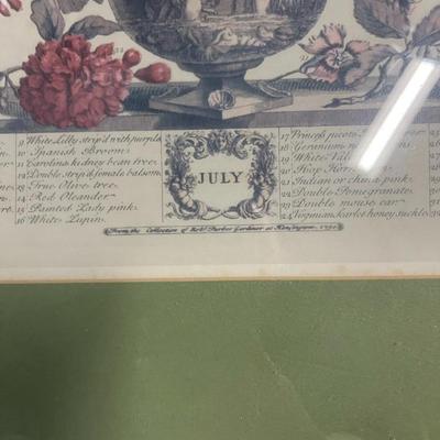 Vintage Robert Ferber Botanical Print, July | EstateSales.org