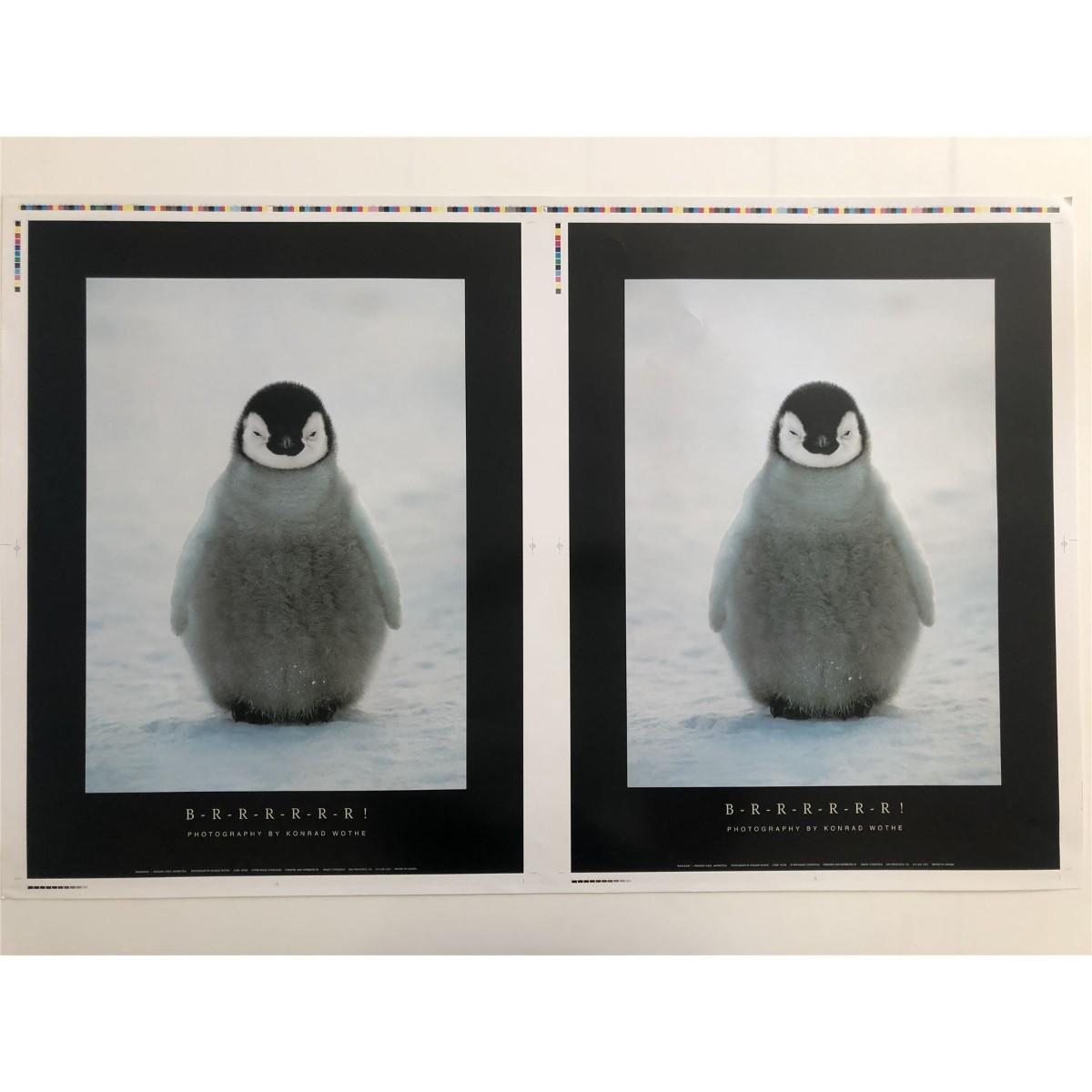 B-R-R-R-R-R-R! Konrad Wothe Double Penguin Print Poster | EstateSales.org