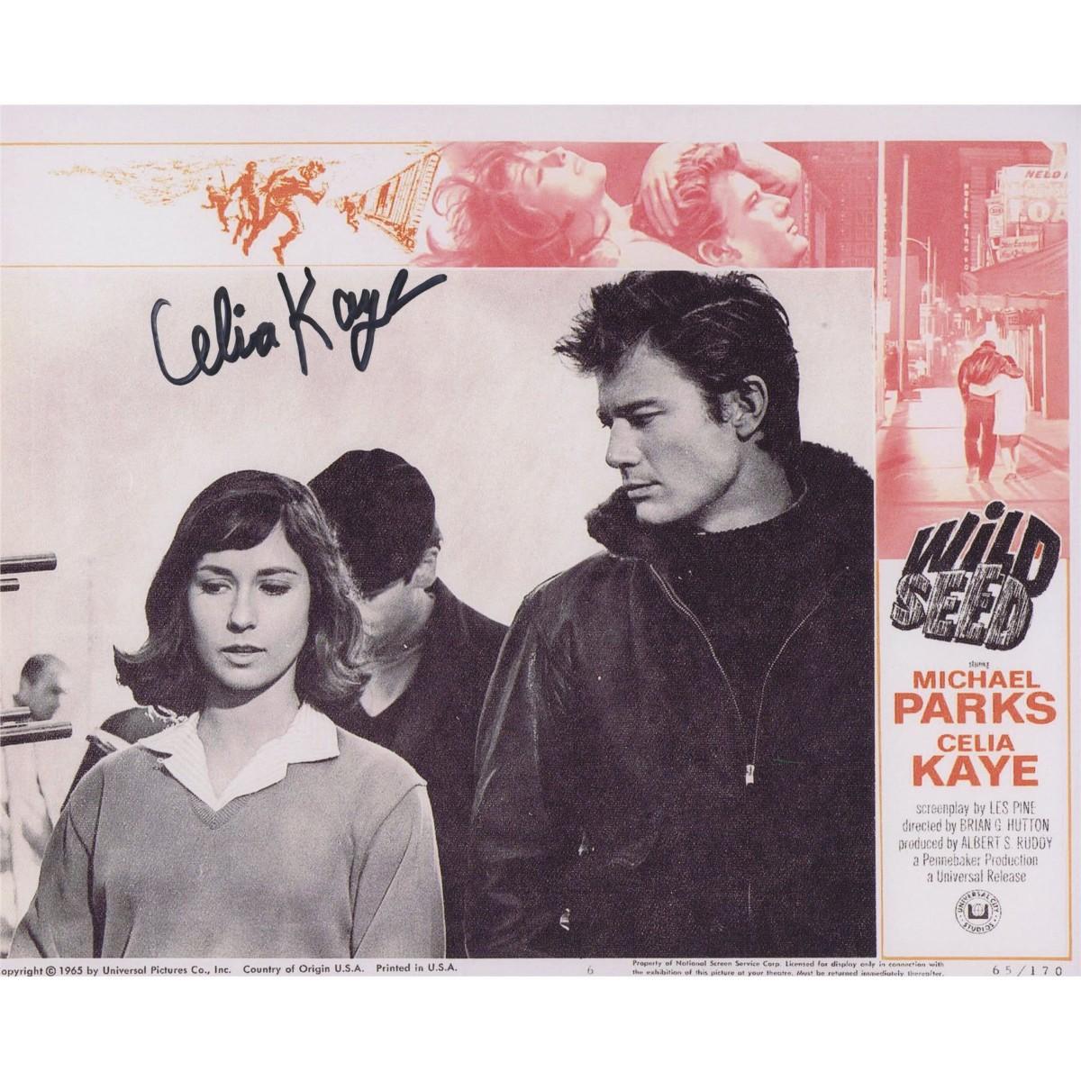 Wild Seed Celia Kaye signed lobby card | EstateSales.org