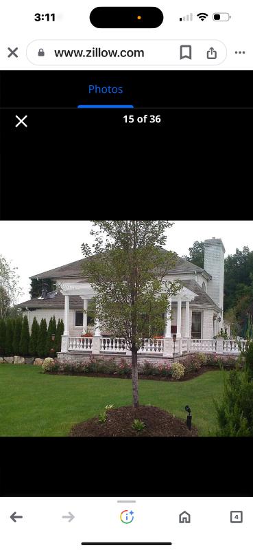 Magnificent Florian Park Estate Sale | EstateSales.org