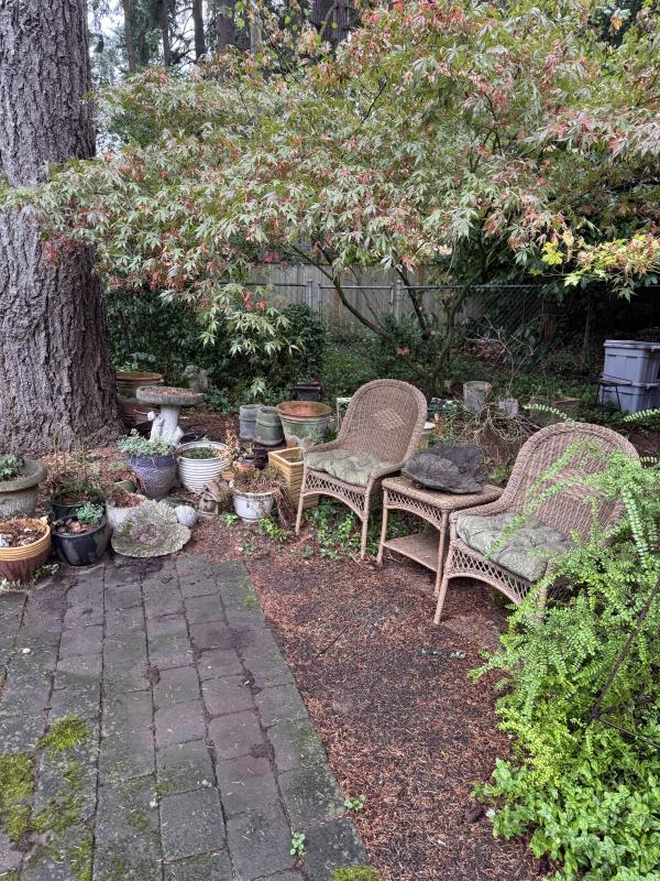 The Rusty Trunk LLC opens to "The Crafty Gardener" Estate Sale ...