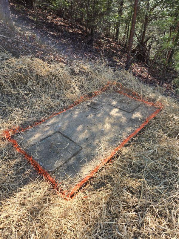 1184 SHELL MOUNTAIN ROAD, SEVIERVILLE, TN 37876 | EstateSales.org